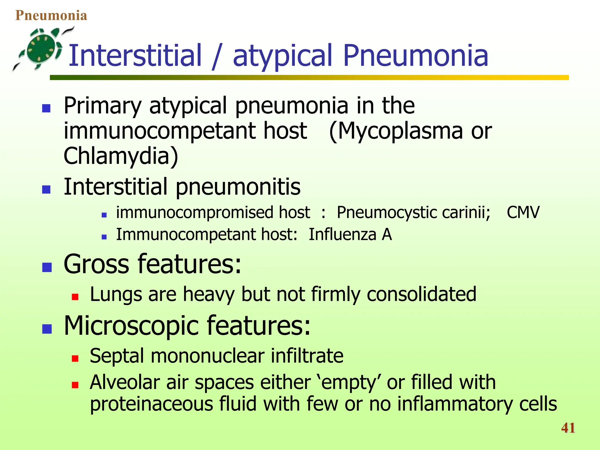 Pathology of Pneumonia POWERPOINT PRESENTATION | PPT