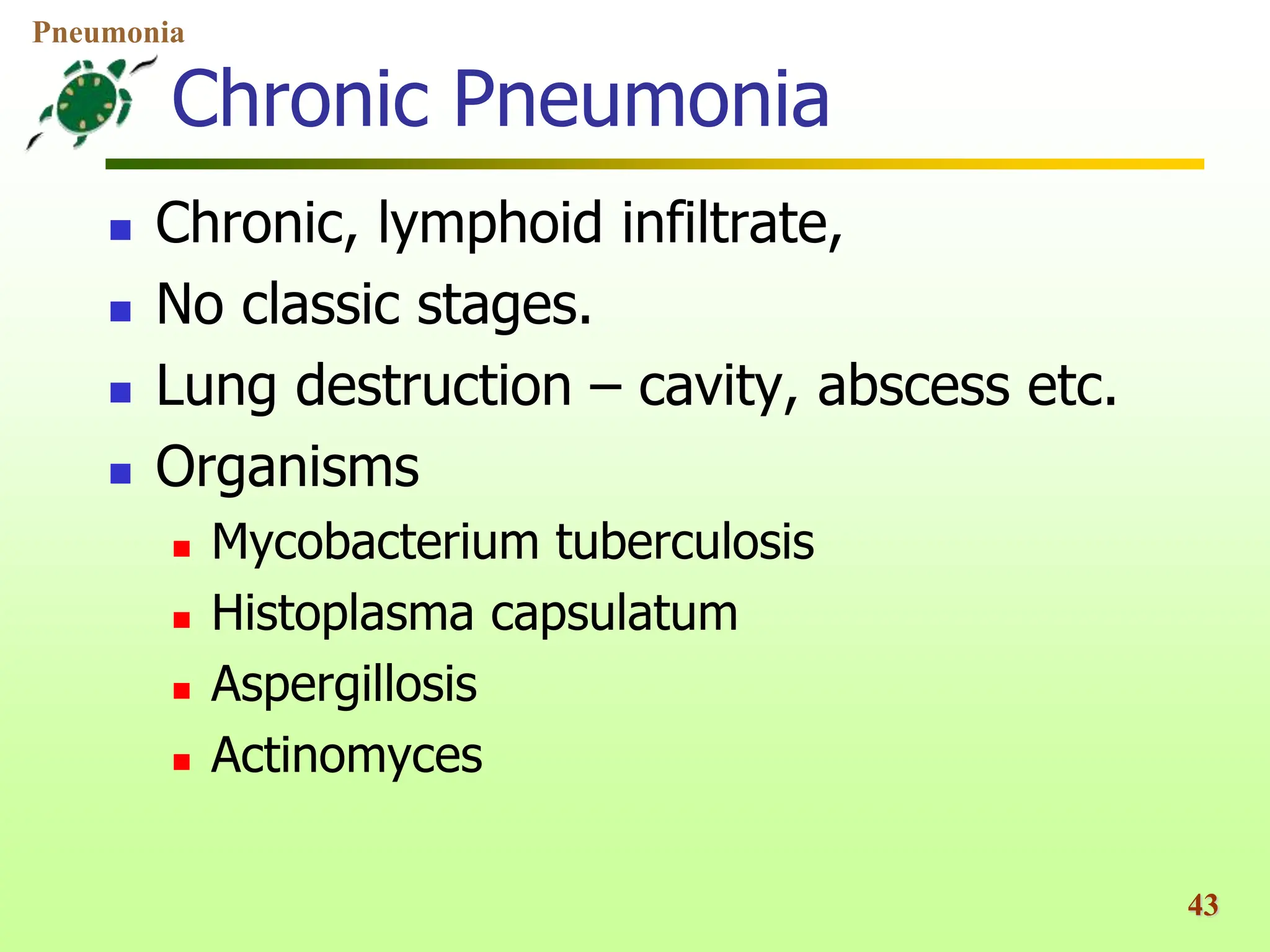 Pathology of Pneumonia POWERPOINT PRESENTATION | PPT