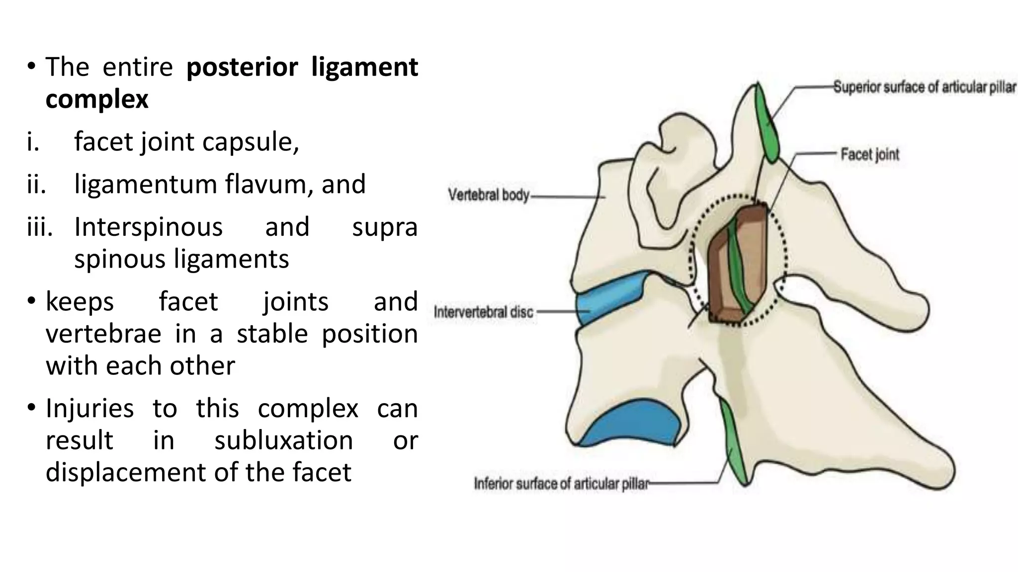 Pathology of posterior elements.pptx