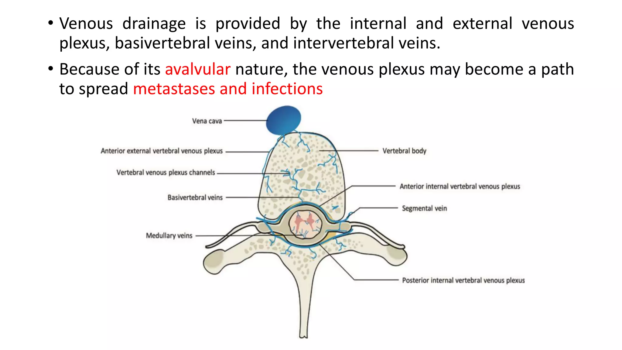 Pathology of posterior elements.pptx