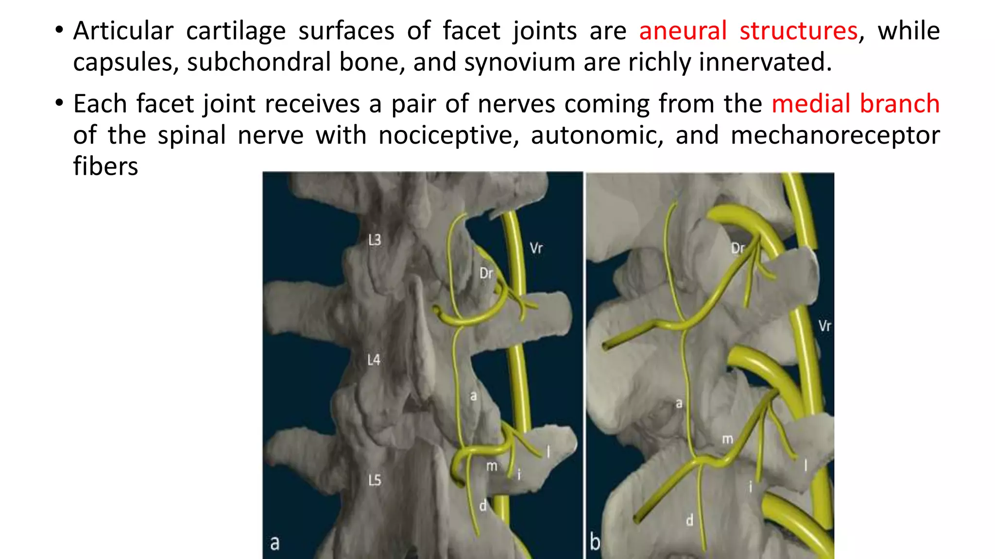 Pathology of posterior elements.pptx