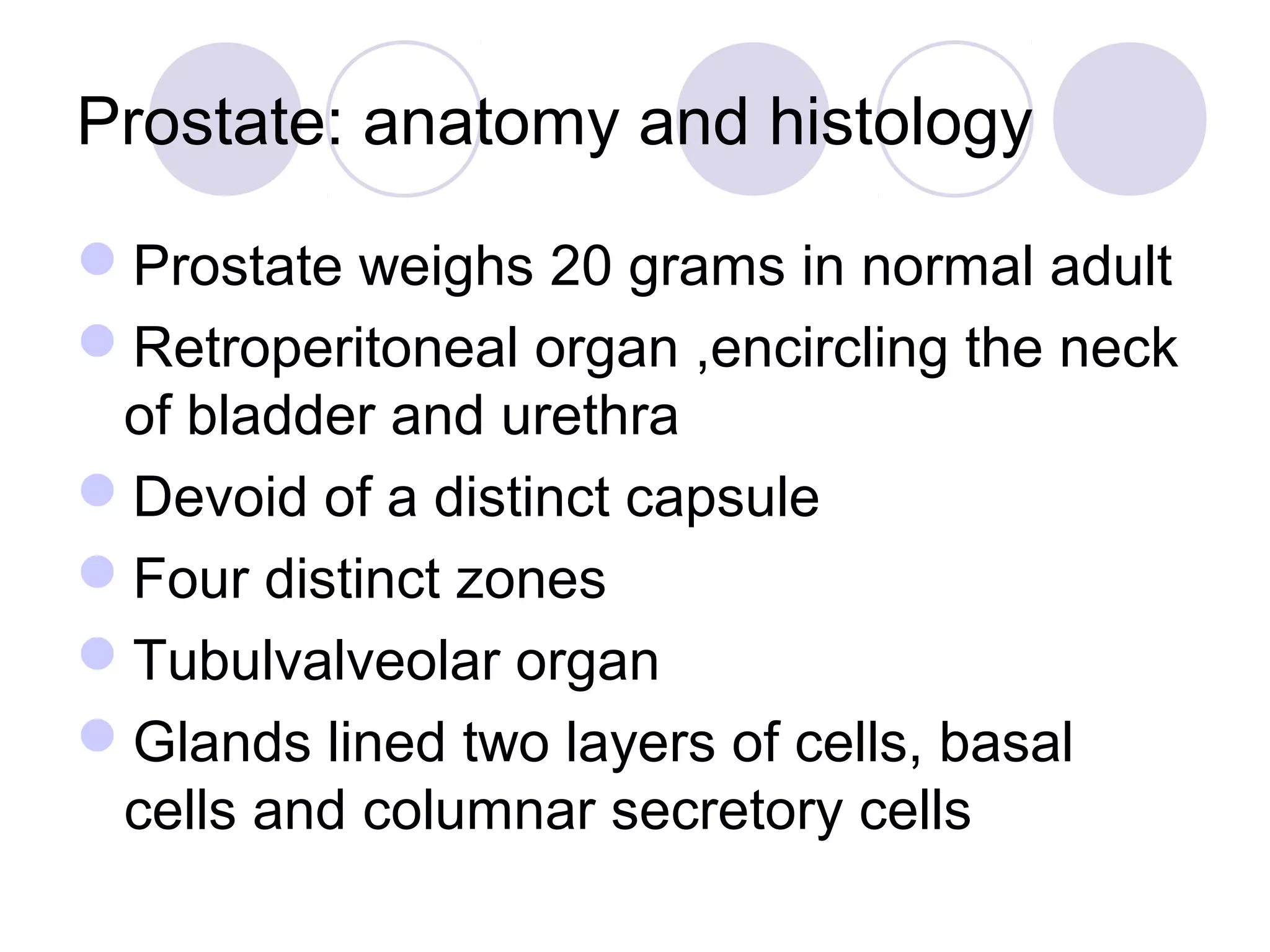 Pathology of prostate | PPT