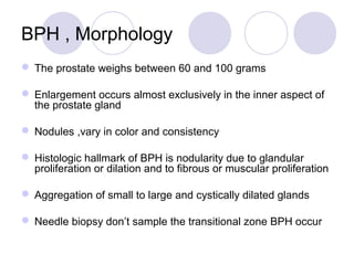 Pathology of prostate | PPT