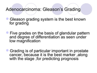 Pathology of prostate | PPT