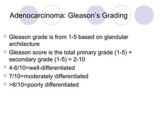 Pathology of prostate | PPT