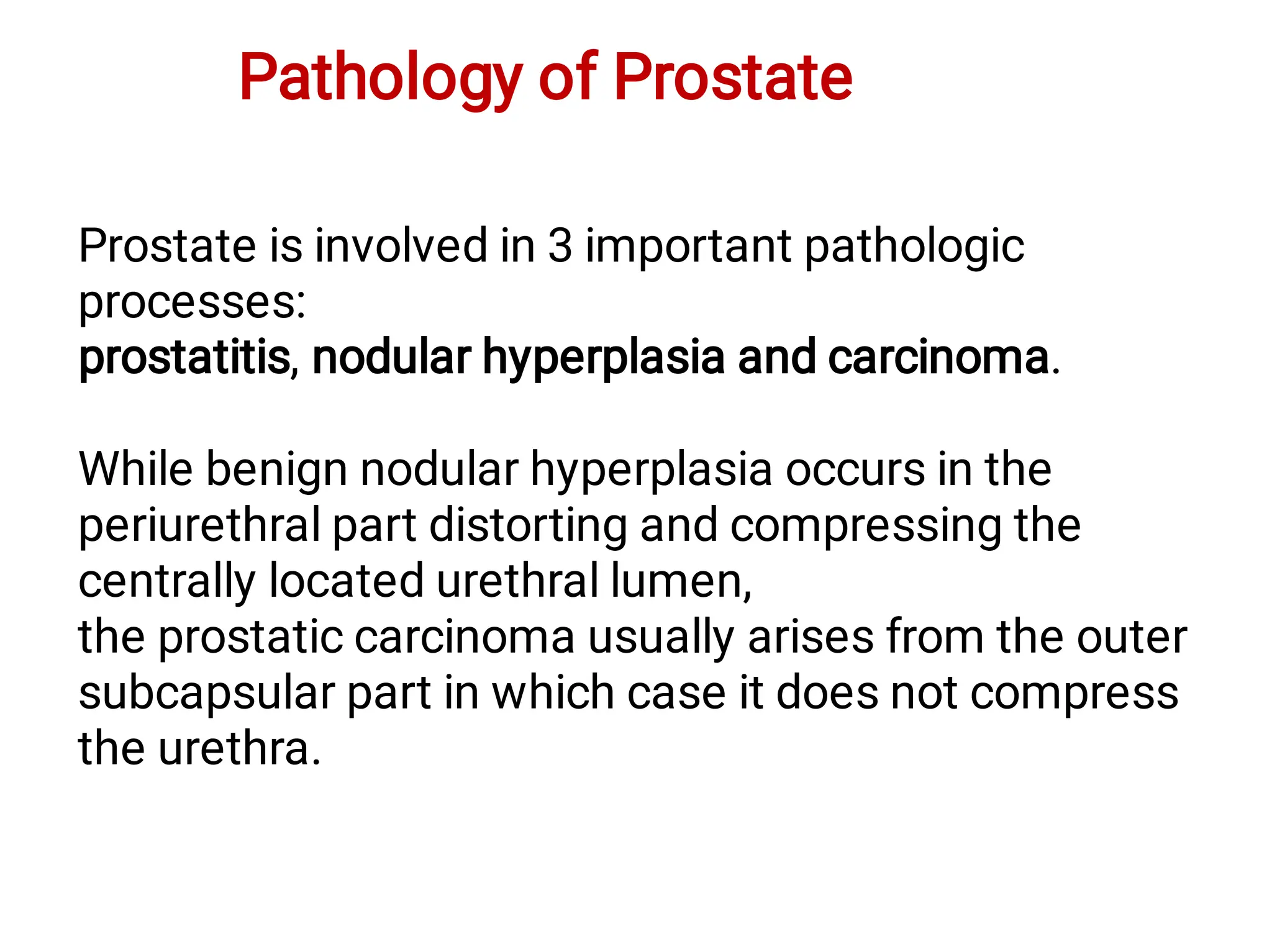 Prostate Pathophysiology23.ppt prostate cancer prostatic hyperplasia | PDF