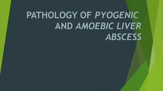 PATHOLOGY OF PYOGENIC AND AMOEBIC LIVER ABSCESS.pptx