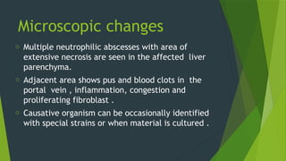 PATHOLOGY OF PYOGENIC AND AMOEBIC LIVER ABSCESS.pptx