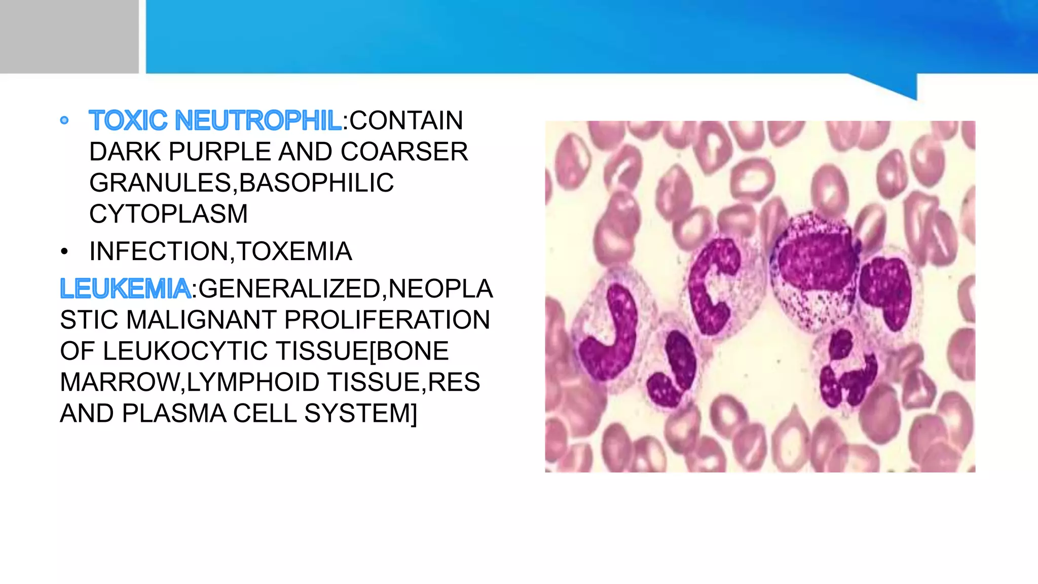 Pathology of rbc and wbc | PPT