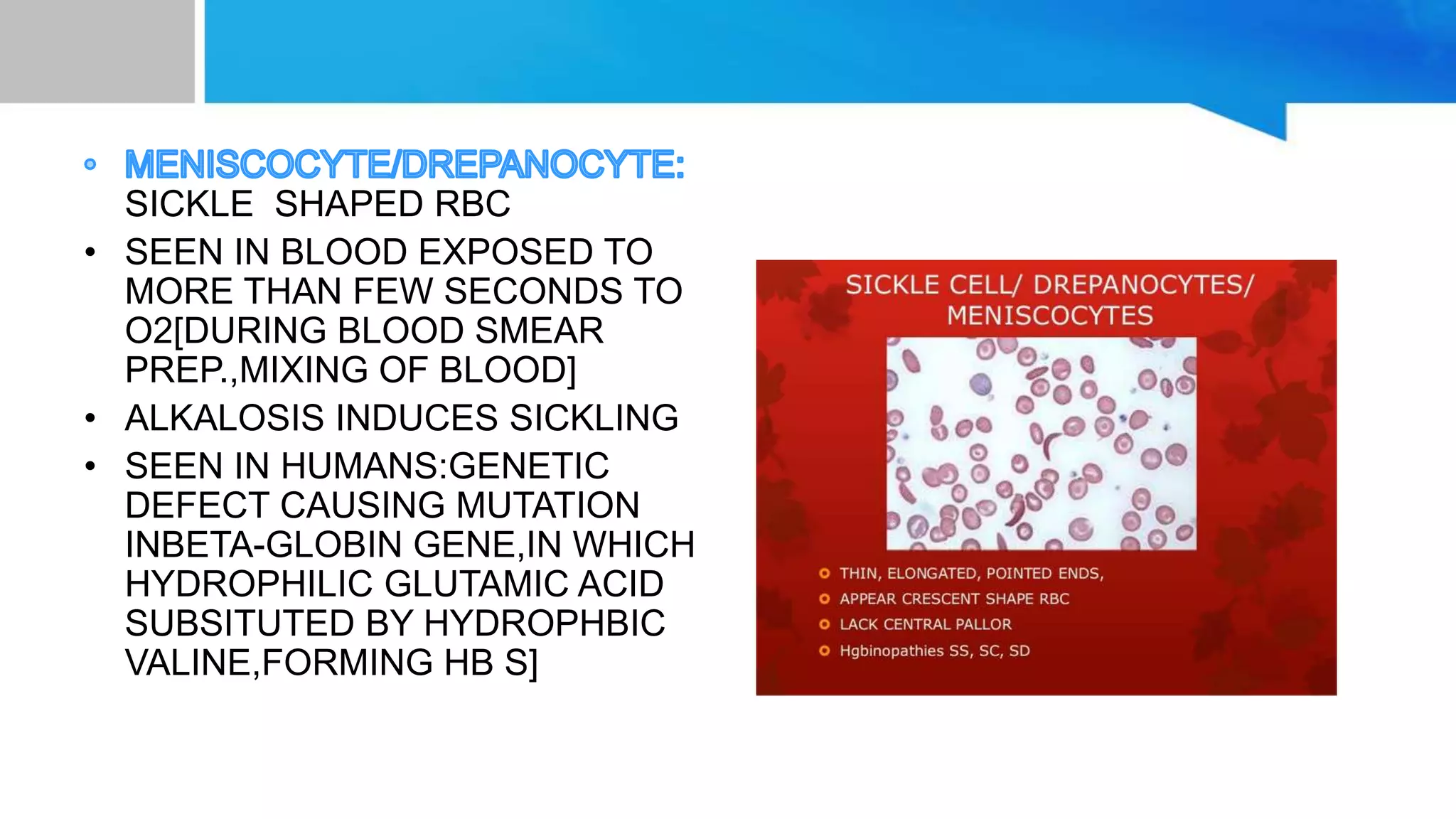 Pathology of rbc and wbc | PPT