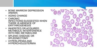 Pathology of rbc and wbc | PPTX