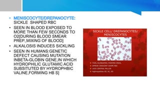 Pathology of rbc and wbc | PPTX