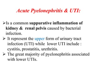 Pathology of Renal system...........pptx