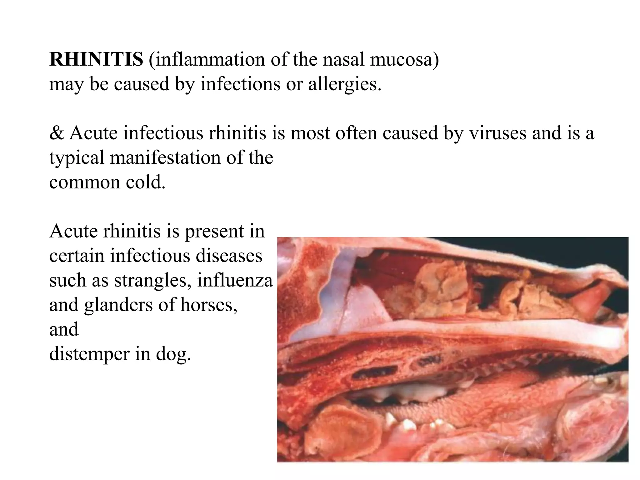Pathology of respiratory system | PDF