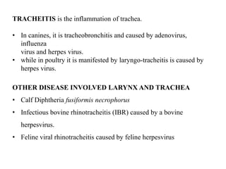 Pathology of respiratory system | PDF