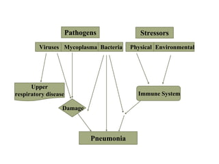 Pathology of respiratory system | PDF