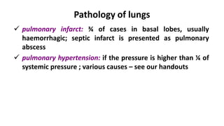 Pathology of respiratory system | PPT