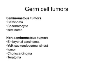 Pathology of testis | PPT