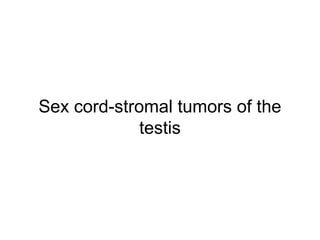 Pathology of testis | PPT