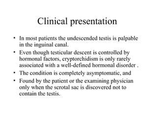 Pathology of testis | PPT