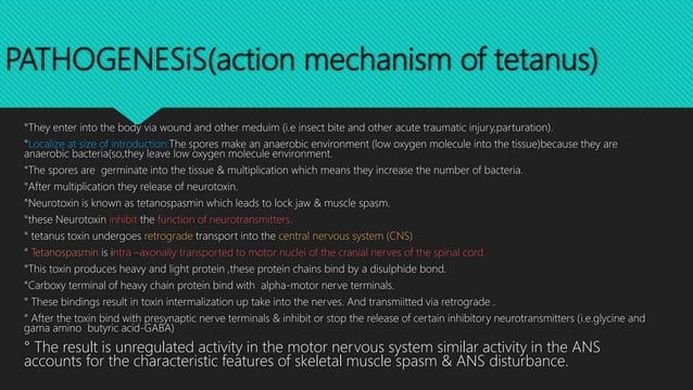 Pathology of tetanus by muhammad arham | PPT