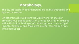 Pathology of the circulatory blood vessels.pptx