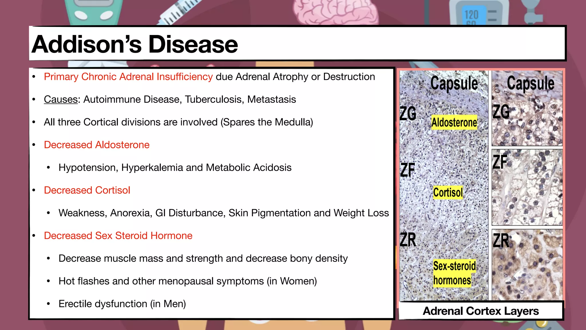 Pathology of the Endocrine System.pdf