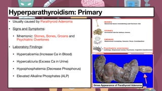 Pathology of the Endocrine System.pdf