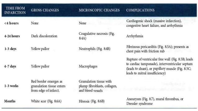 Pathology of the heart.. Disorders of heart | PPT