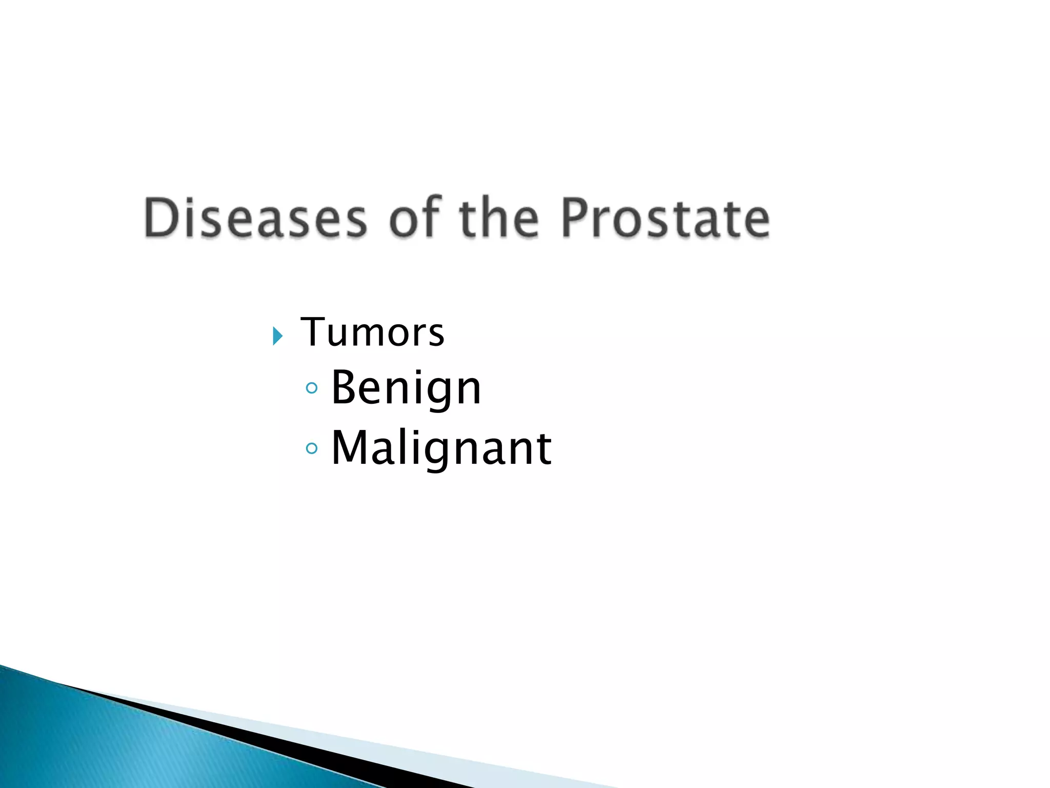 Pathology of the male genital tract | PPTX