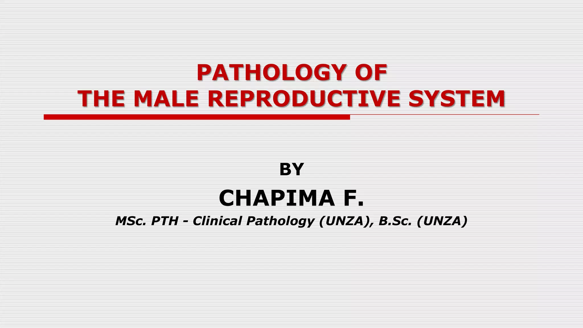 Pathology of the male reproductive system 2 | PPTX