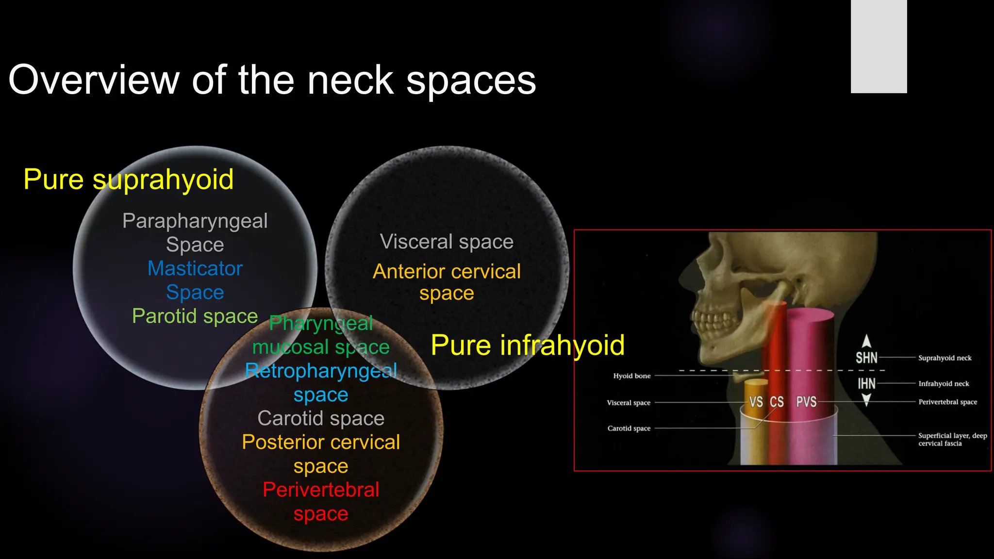 pathology of the neck spaces for und.pdf