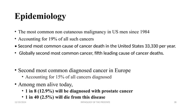 Pathology_of_the_Prostate[1].pptx and prostate ca | PPTX