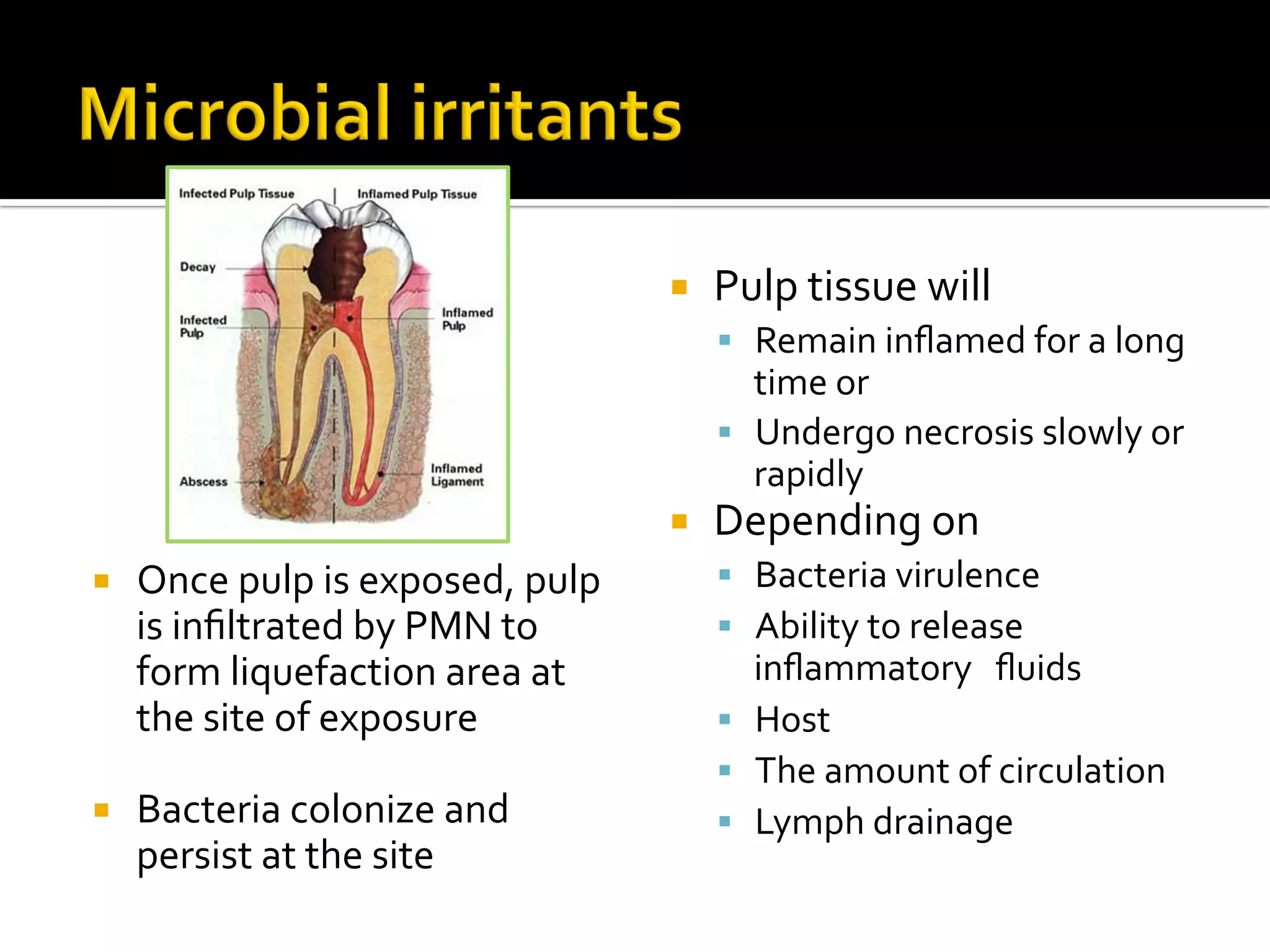 Pathology of the pulpal and periradicular tissues 2012 2013 | PDF