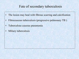 Pathology of tuberculosis of lung | Jindal Chest Clinic | PPT