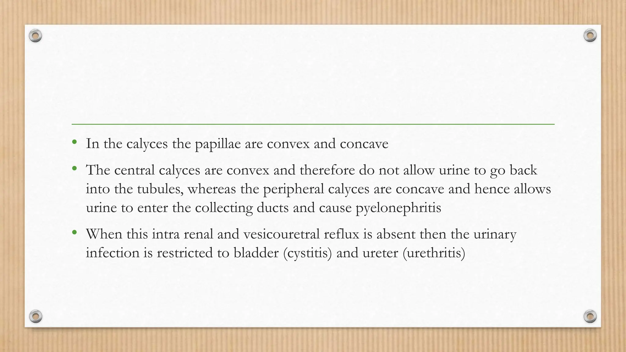 PATHOLOGY OF URINARY SYSTEM DISORDER ppt | PPTX