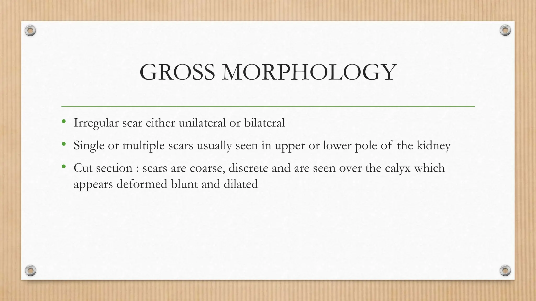 PATHOLOGY OF URINARY SYSTEM DISORDER ppt | PPTX