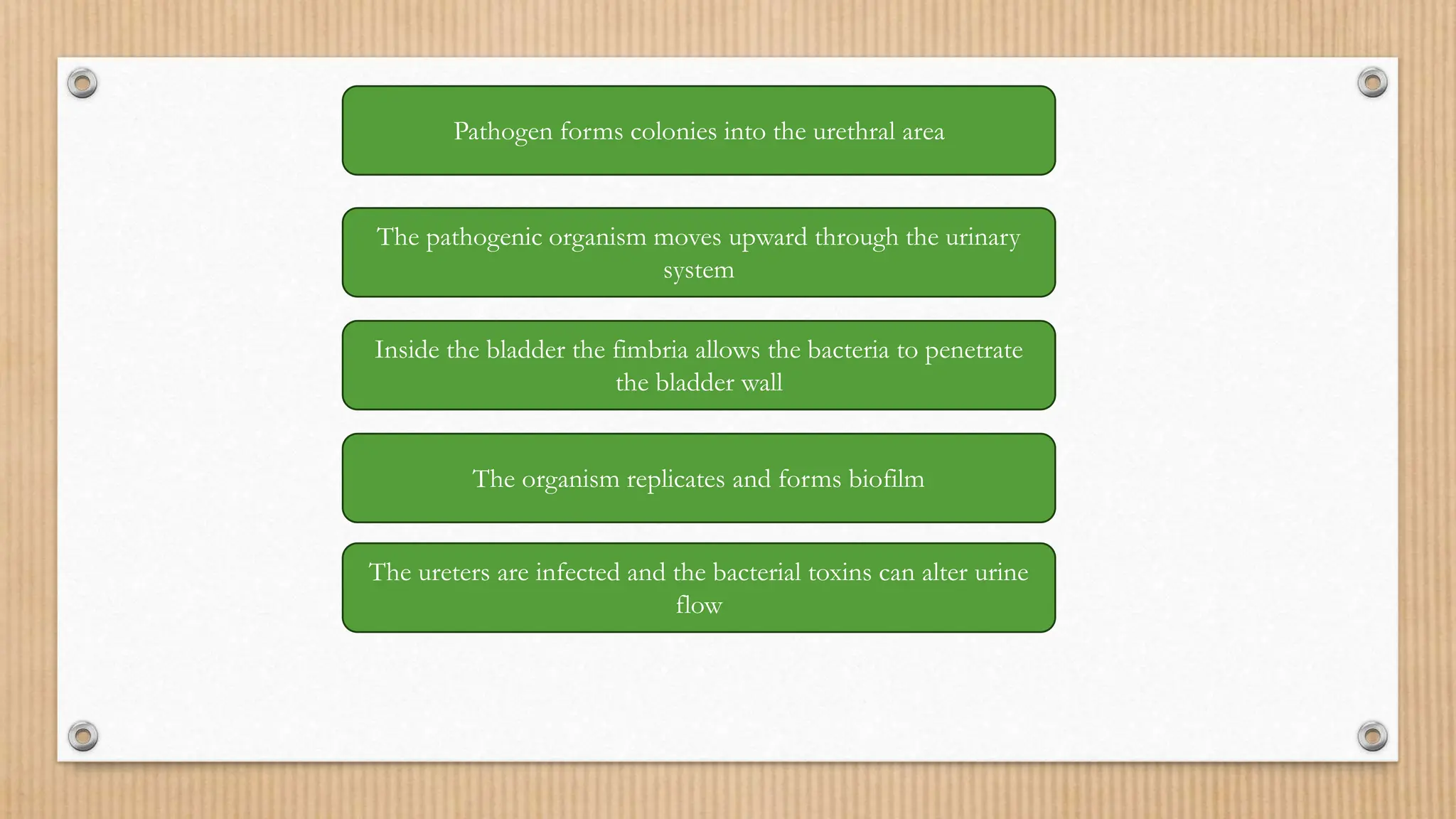 PATHOLOGY OF URINARY SYSTEM DISORDER ppt | PPTX
