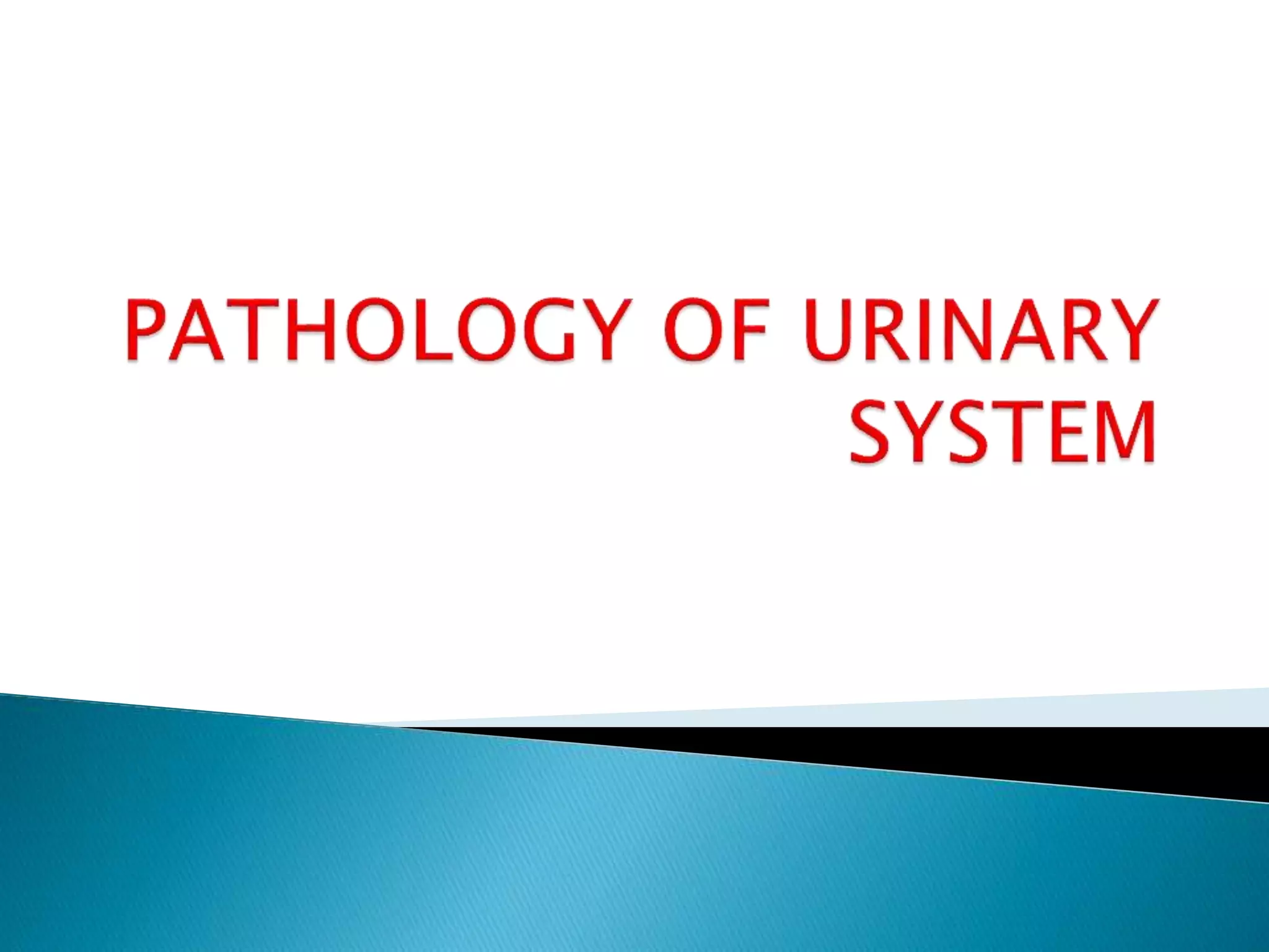Pathology of urinary system | PPTX