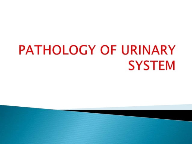 Pathology of urinary system | PPTX