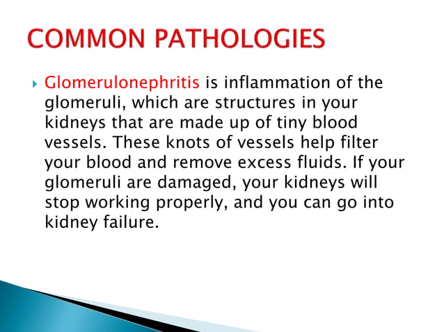 Pathology of urinary system | PPTX