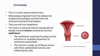 Pathology of uterine cervix 2018 Sufia Husain | PPTX