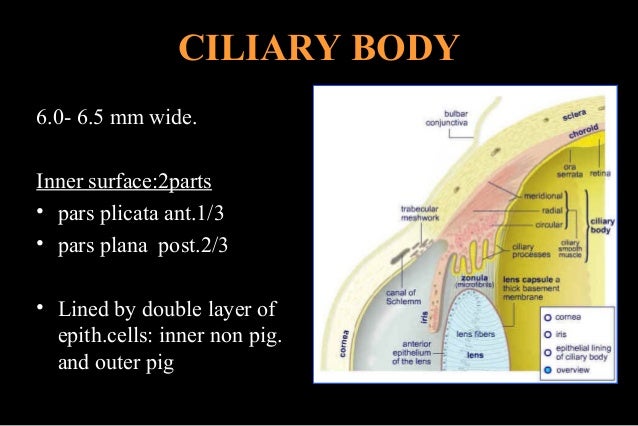 Pathology of uvea