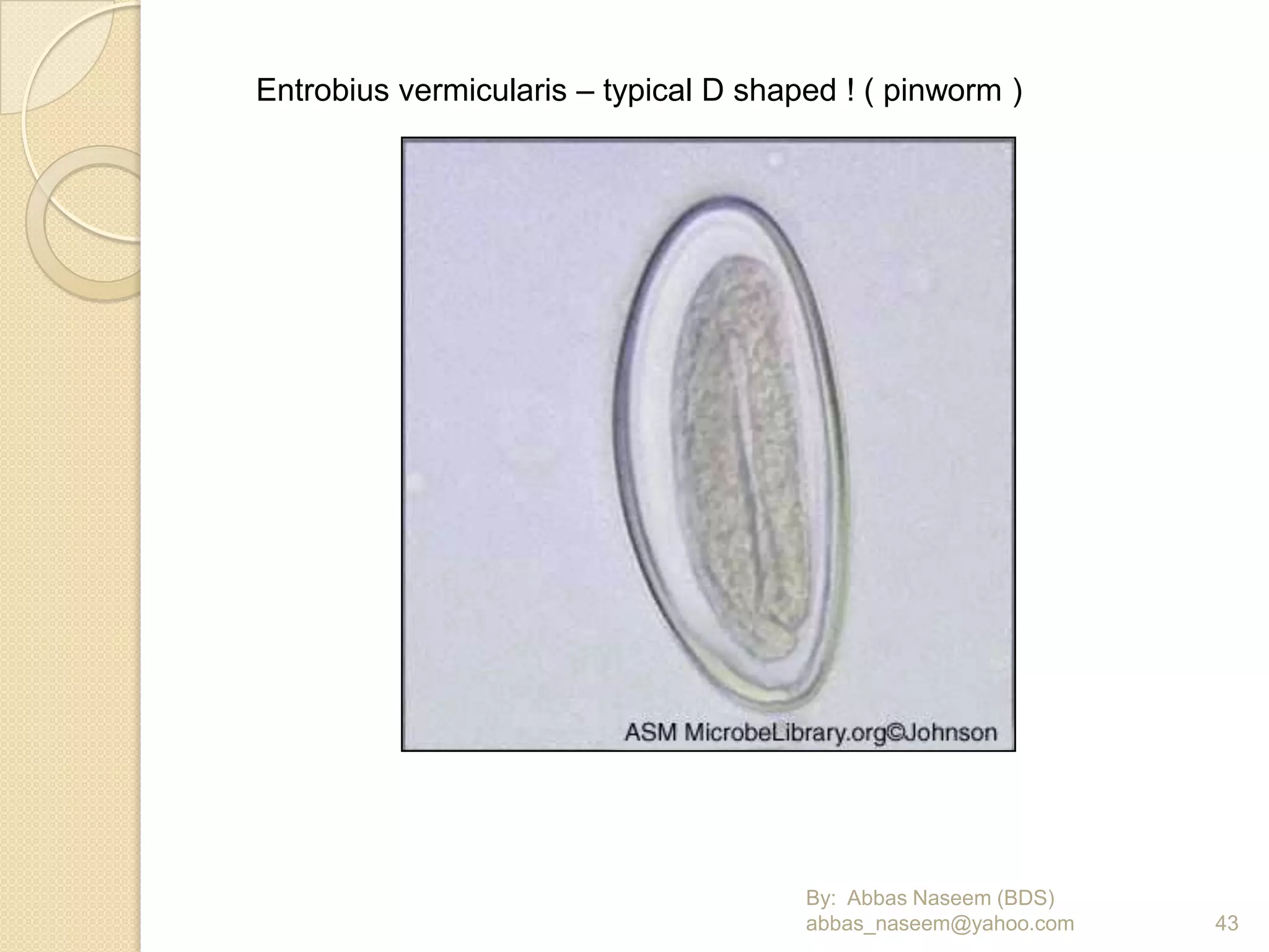 Pathology ospe revised edition | PPTX