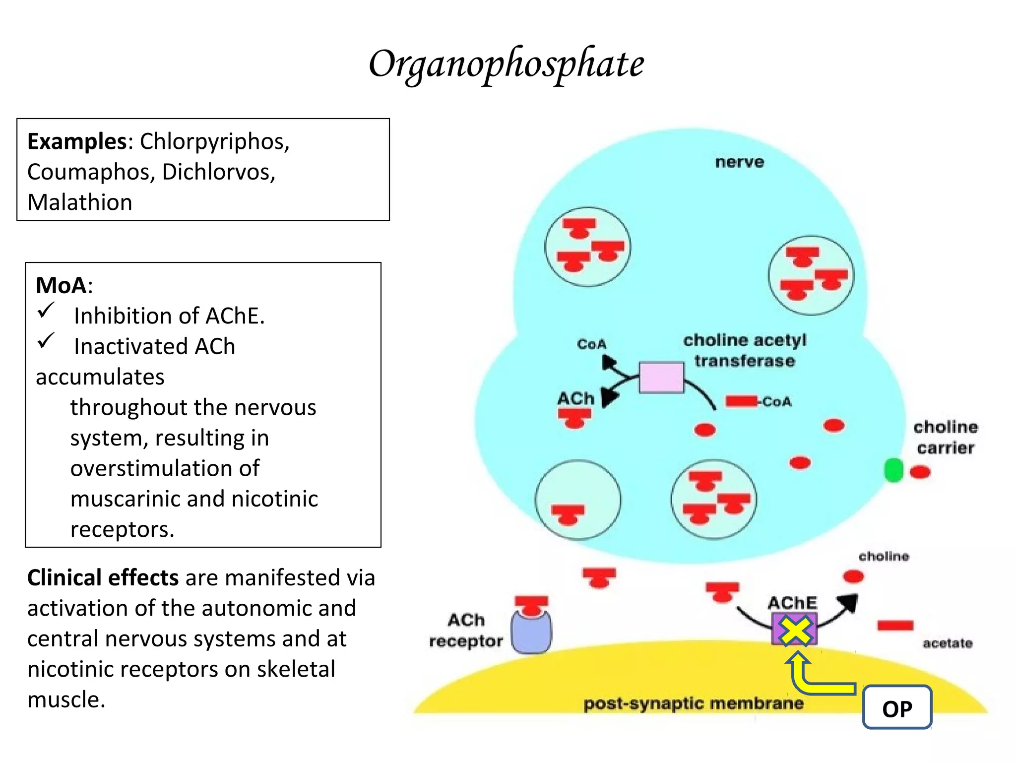 Pathology & pathogenesis of different toxins, poisons other than ...