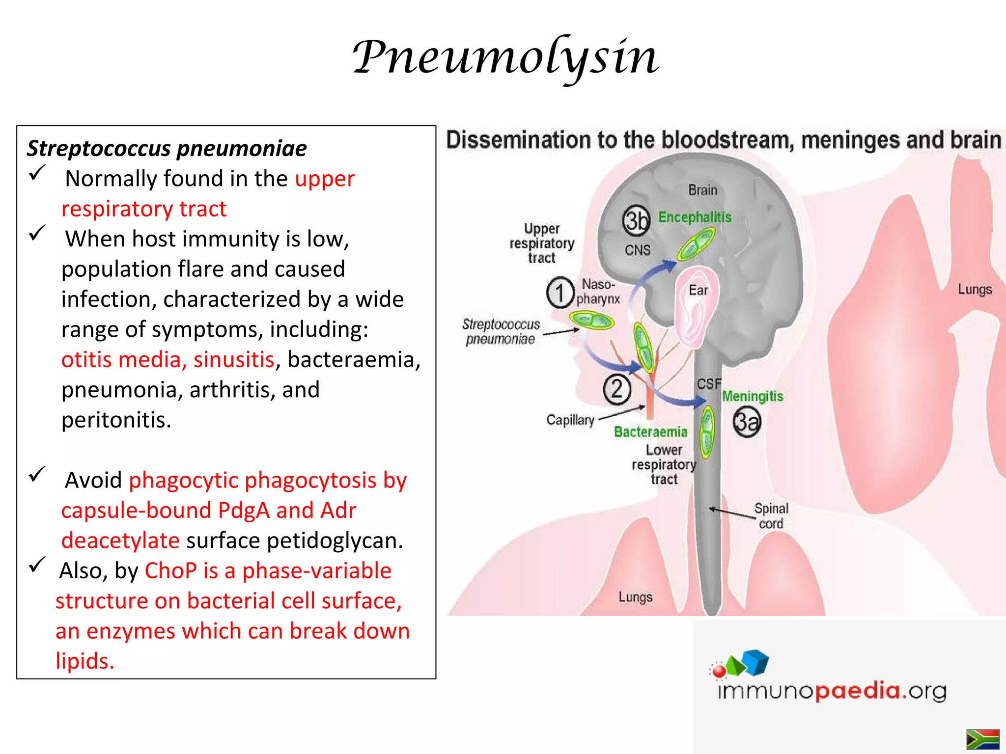 Pathology & pathogenesis of different toxins, poisons other than ...