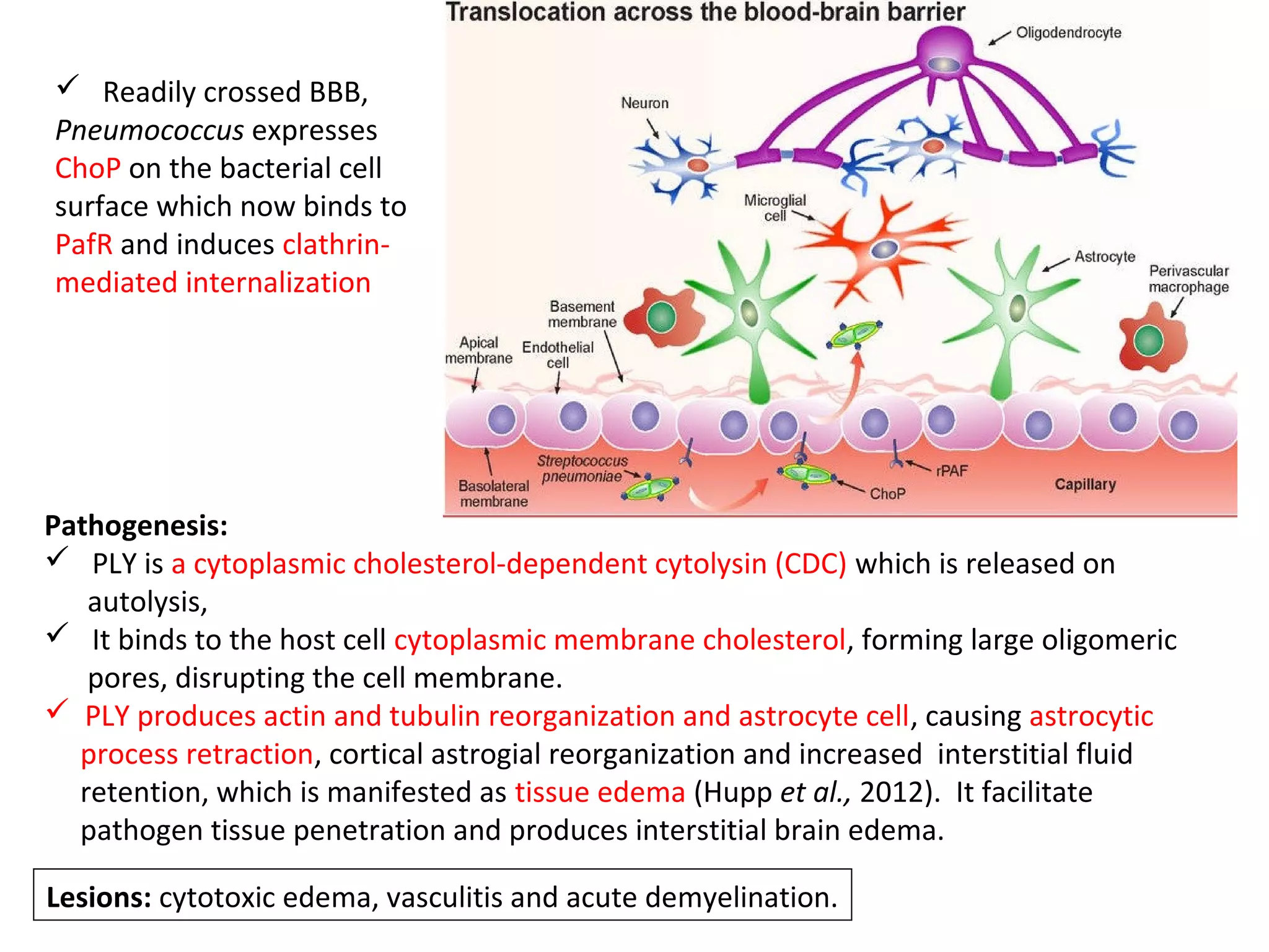 Pathology & pathogenesis of different toxins, poisons other than ...