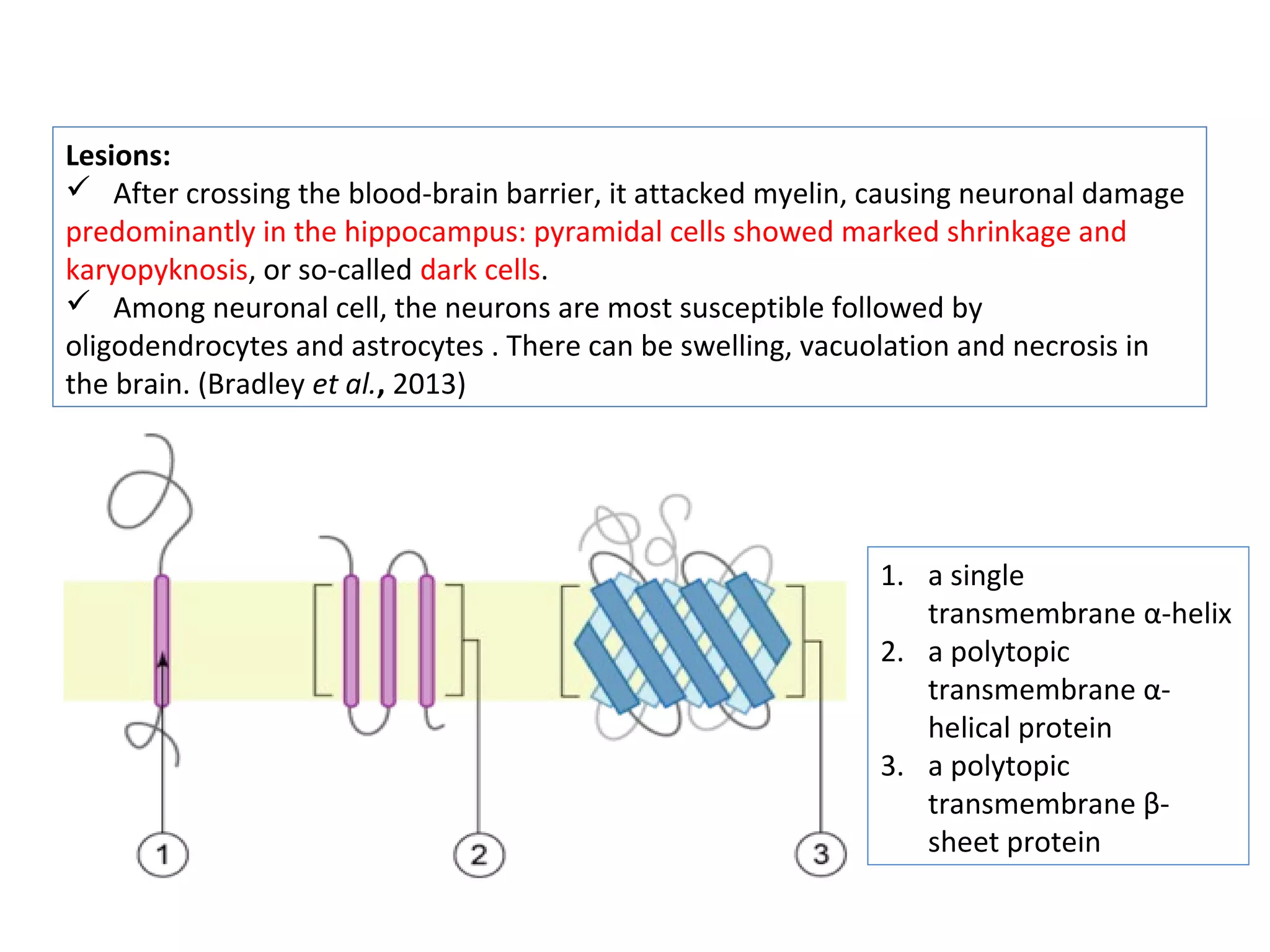 Pathology & pathogenesis of different toxins, poisons other than ...