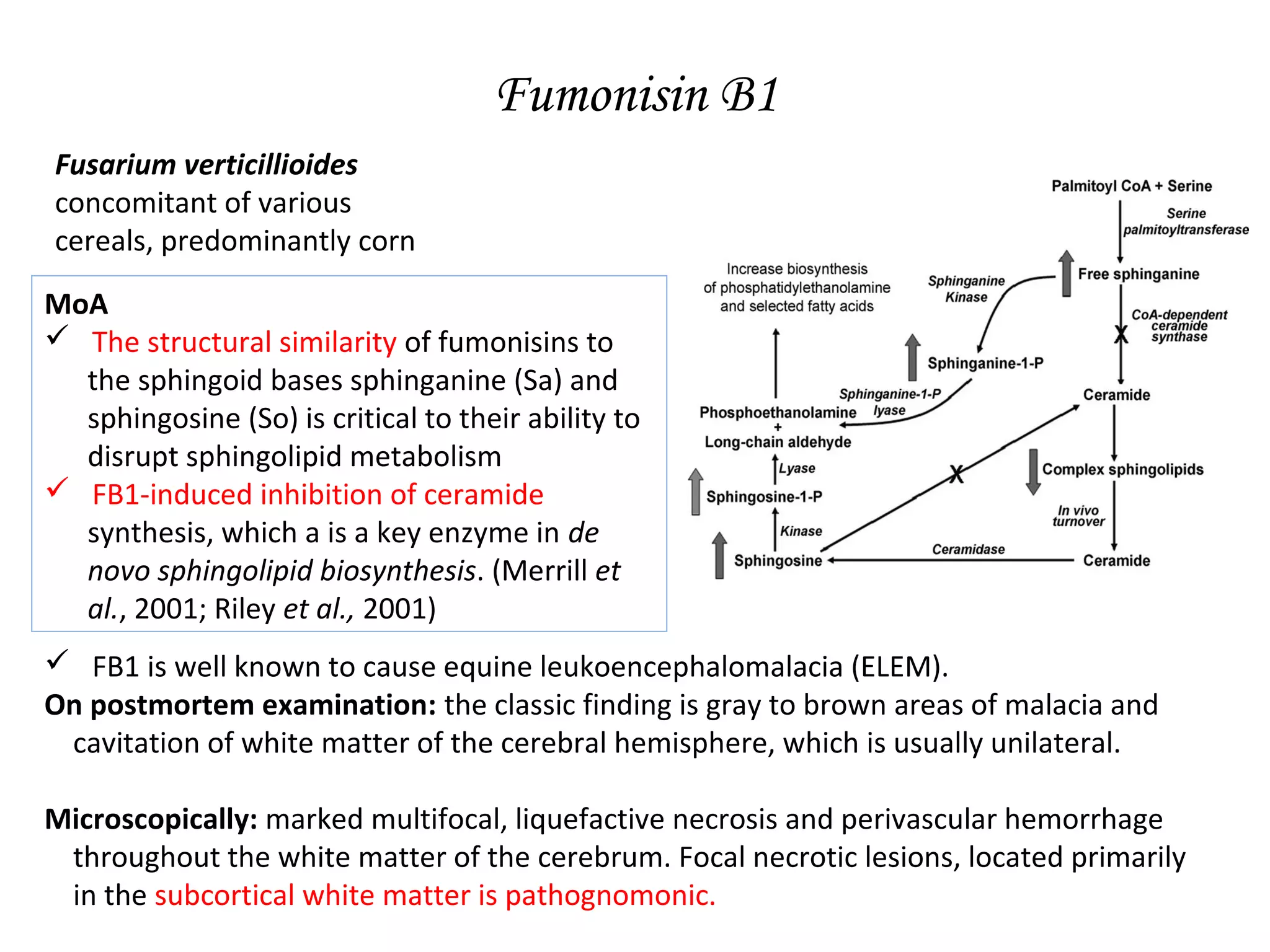 Pathology & pathogenesis of different toxins, poisons other than ...