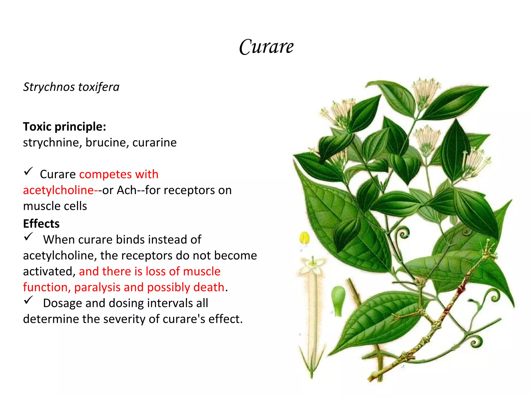 Pathology & pathogenesis of different toxins, poisons other than ...